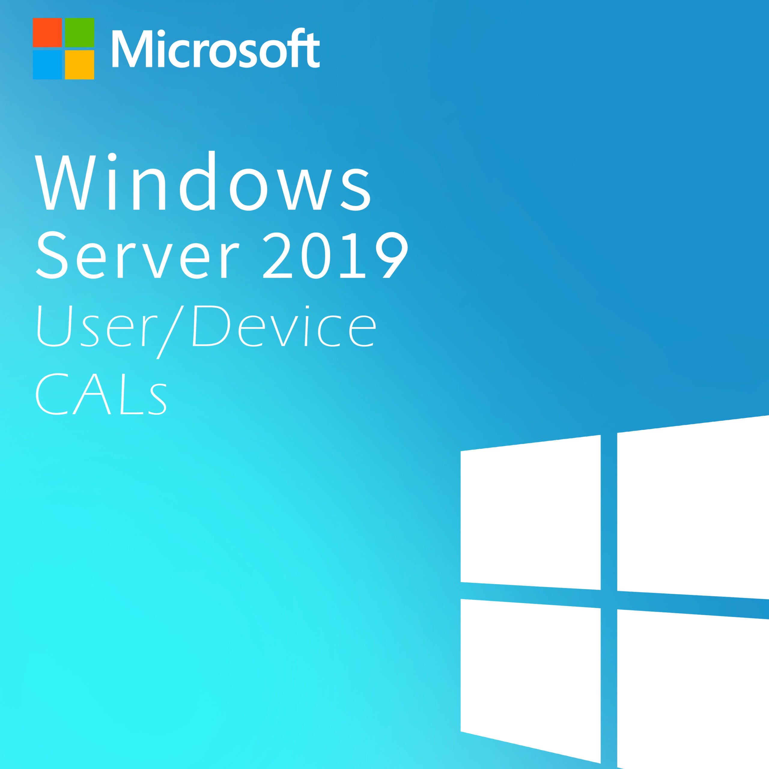 Windows Server 2019 – User / Device CALs – Na Peceta.pl