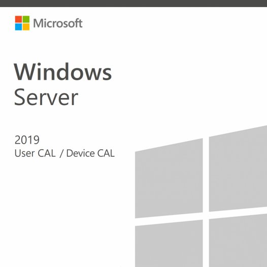 Windows Server 2019 – User / Device CALs – Na Peceta.pl
